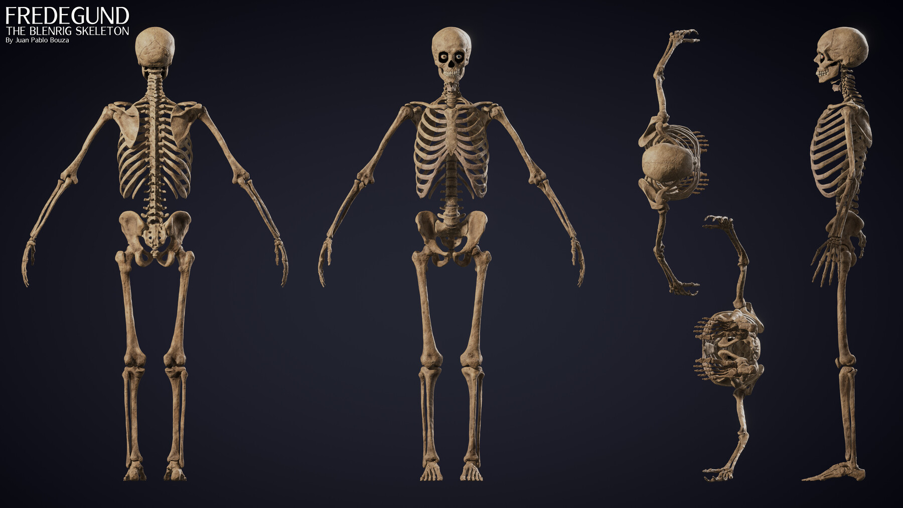 ArtStation - Fredegund - The BlenRig Skeleton | Resources