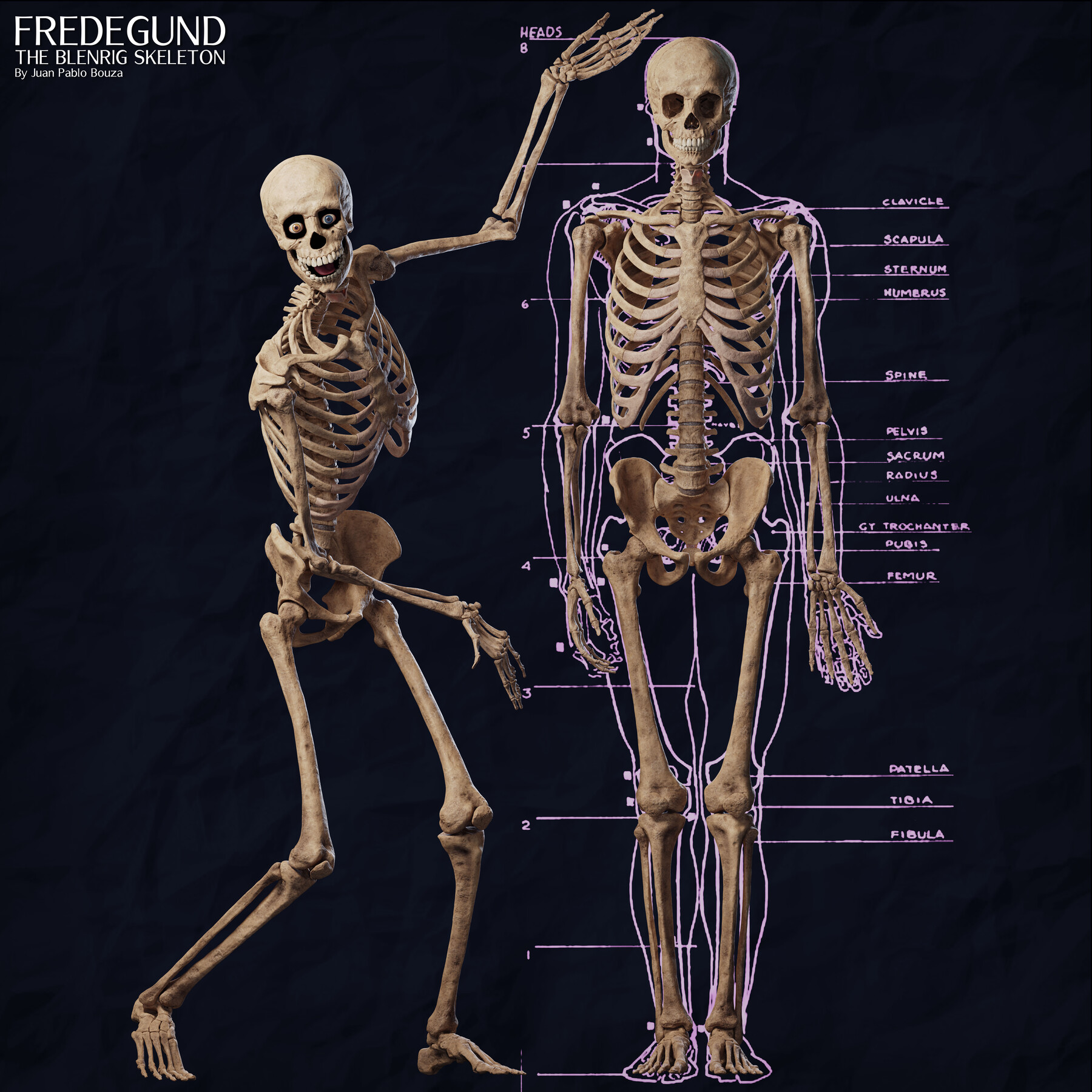 ArtStation - Fredegund - The BlenRig Skeleton | Resources
