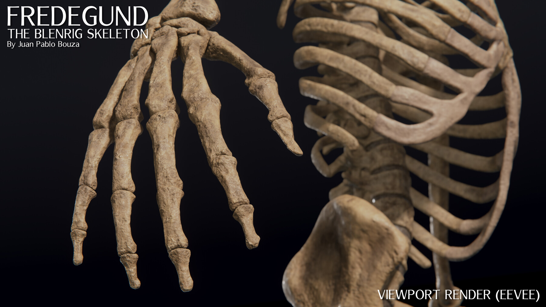 ArtStation - Fredegund - The BlenRig Skeleton | Resources