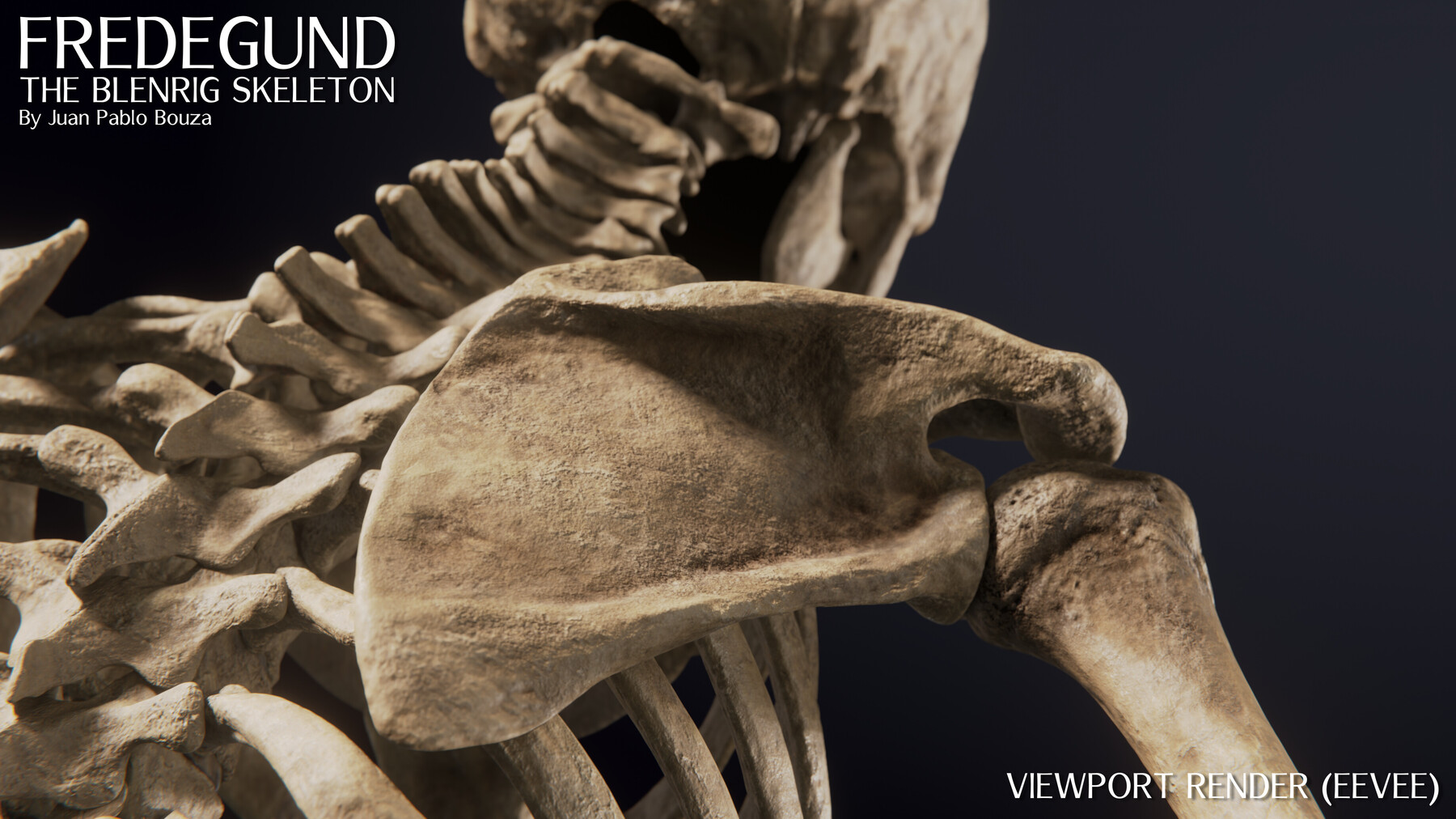 ArtStation - Fredegund - The BlenRig Skeleton | Resources