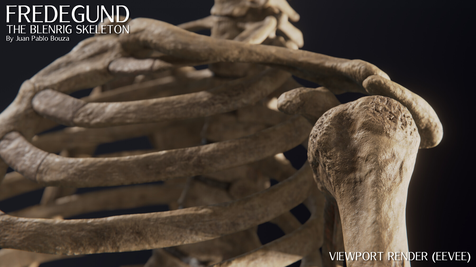 ArtStation - Fredegund - The BlenRig Skeleton | Resources