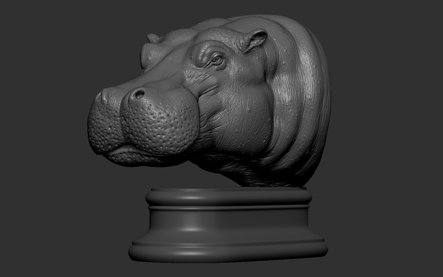 ArtStation - Hippopotamus Head | Resources