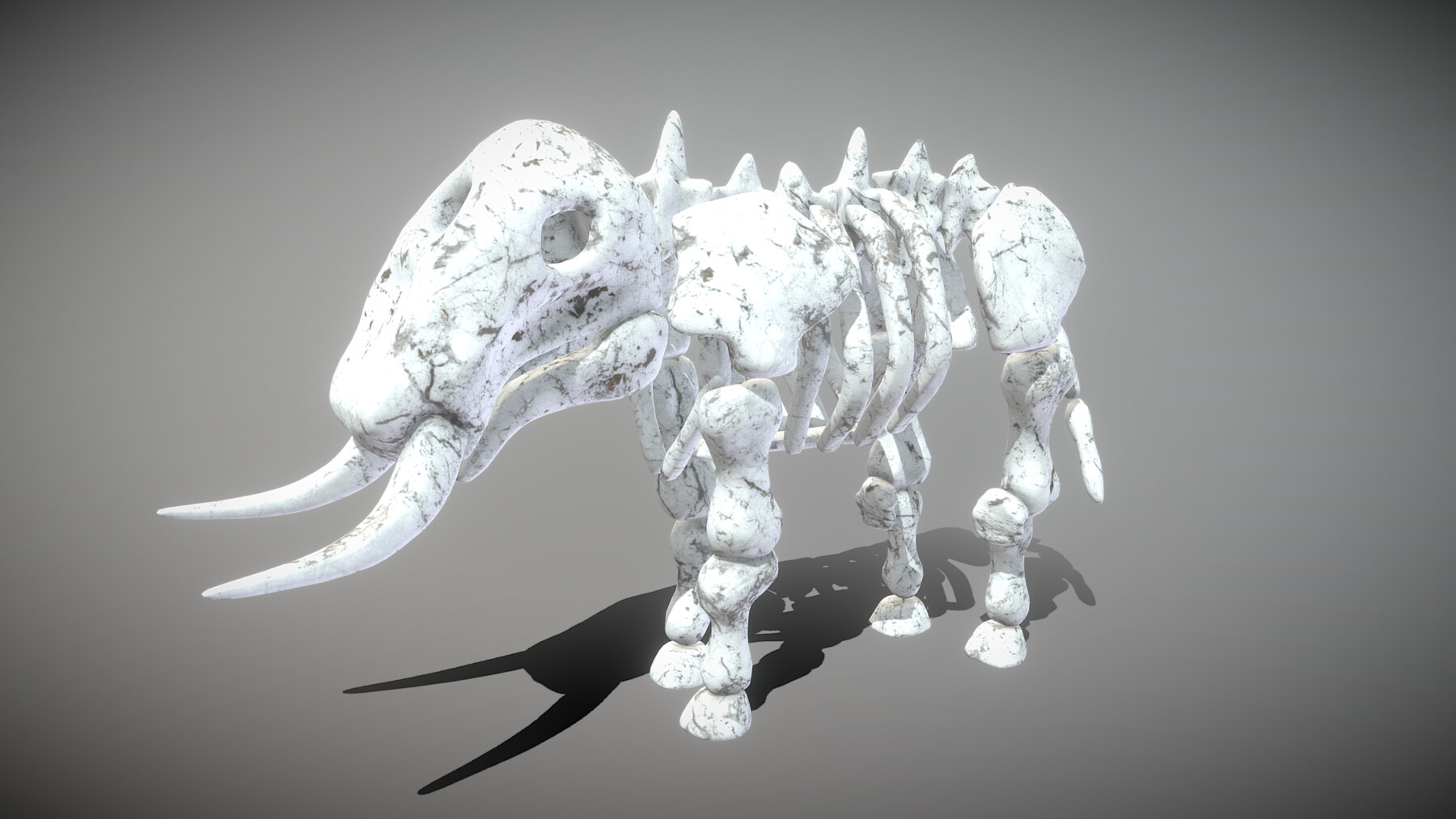 ArtStation - Elephant Skeleton | Game Assets
