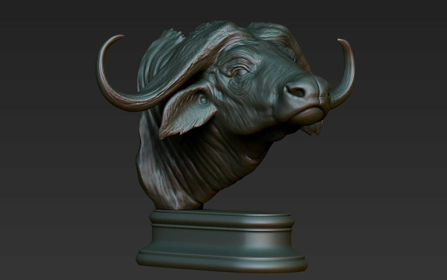 ArtStation - Buffalo African Head | Resources