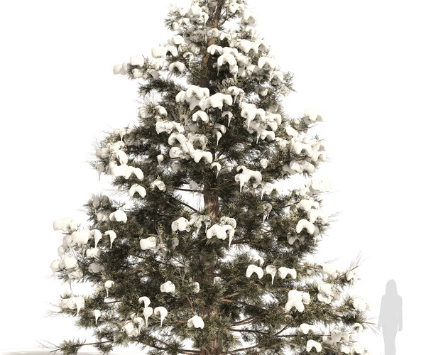 ArtStation - Winter eastern cedar | Resources