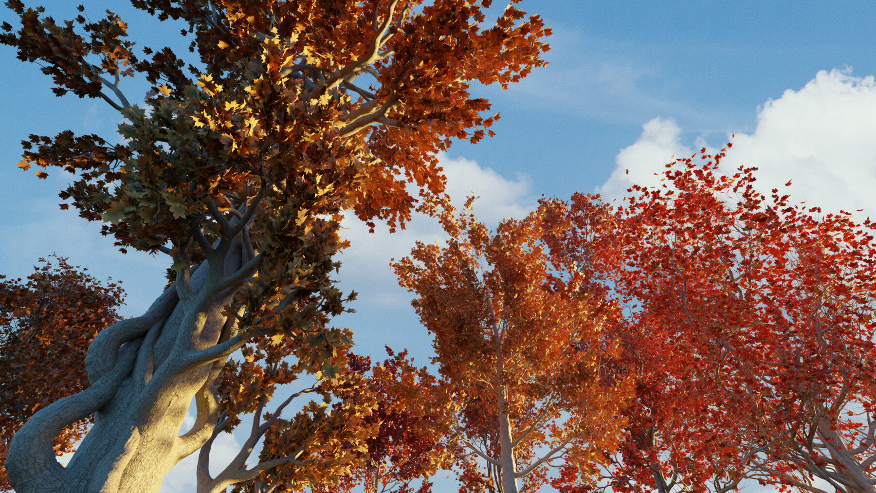 ArtStation - Freeman maple tree pack | Resources