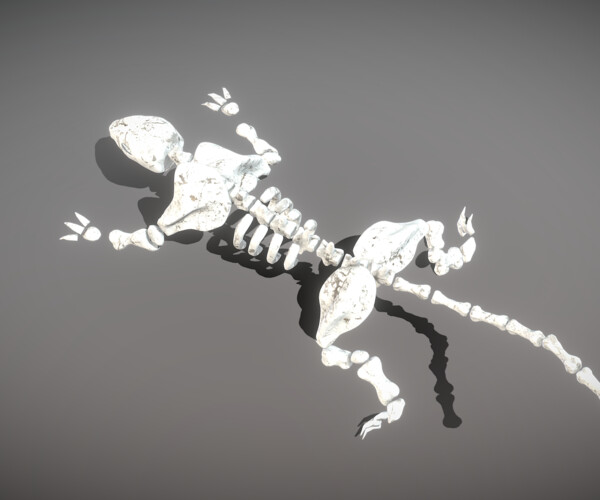 ArtStation - Leopard Skeleton | Game Assets