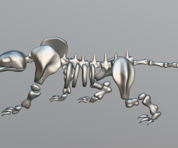 ArtStation - Leopard Skeleton | Game Assets