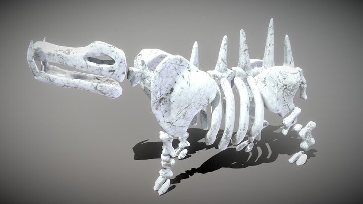ArtStation - Hippo Skeleton | Game Assets