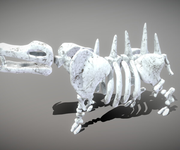 ArtStation - Hippo Skeleton | Game Assets