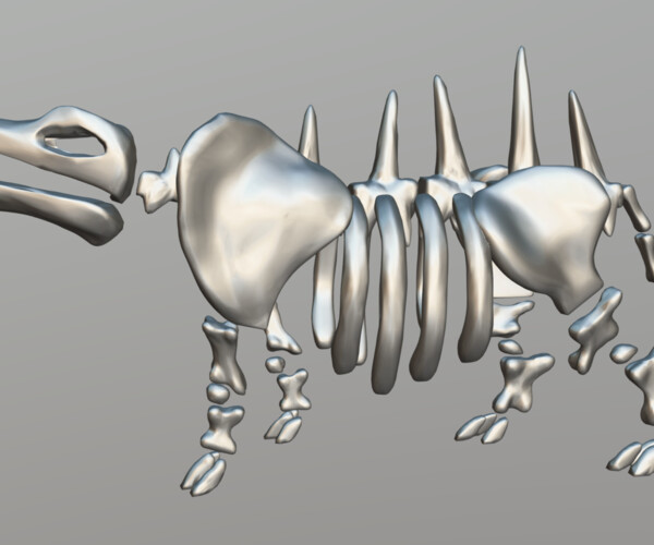 ArtStation - Hippo Skeleton | Game Assets