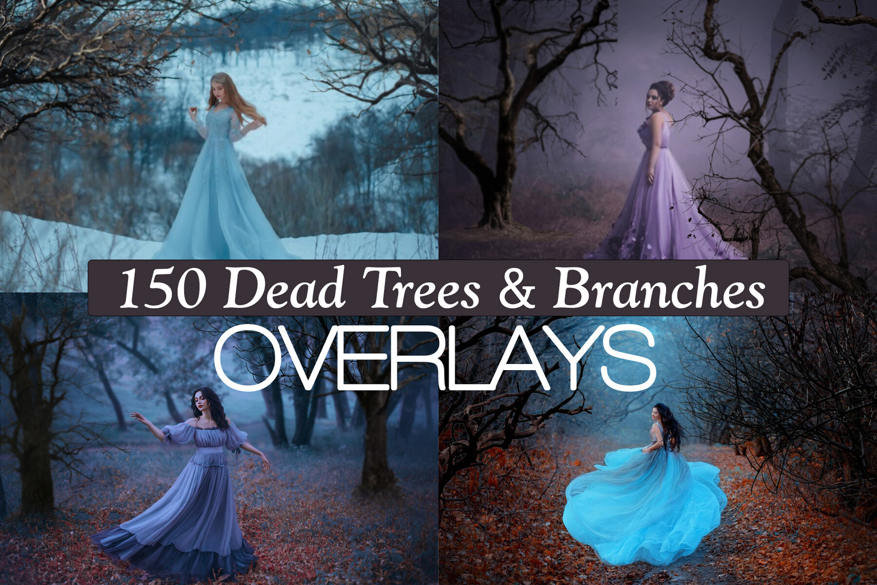 ArtStation - 150 Bare trees overlays, Dead tree PNG, Dry branches ...