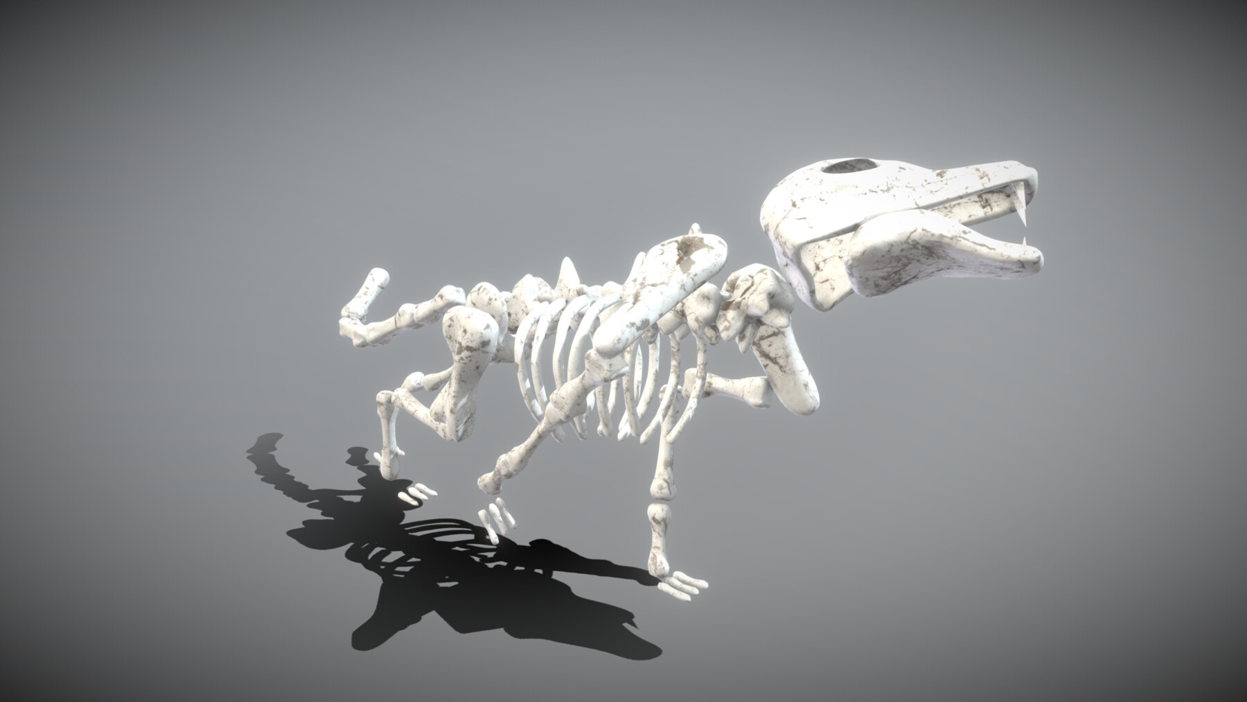 ArtStation - Wolf Skeleton | Game Assets