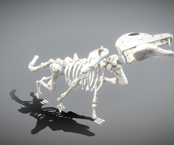 ArtStation - Wolf Skeleton | Game Assets