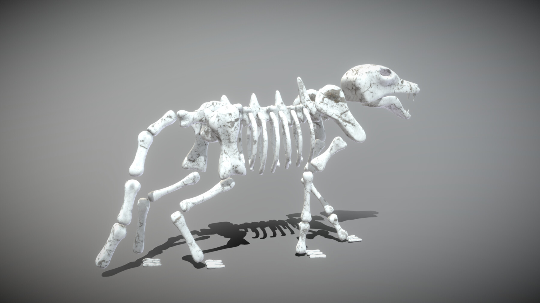 ArtStation - Wolf Skeleton | Game Assets