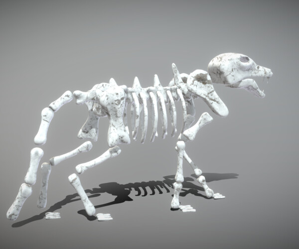 ArtStation - Wolf Skeleton | Game Assets