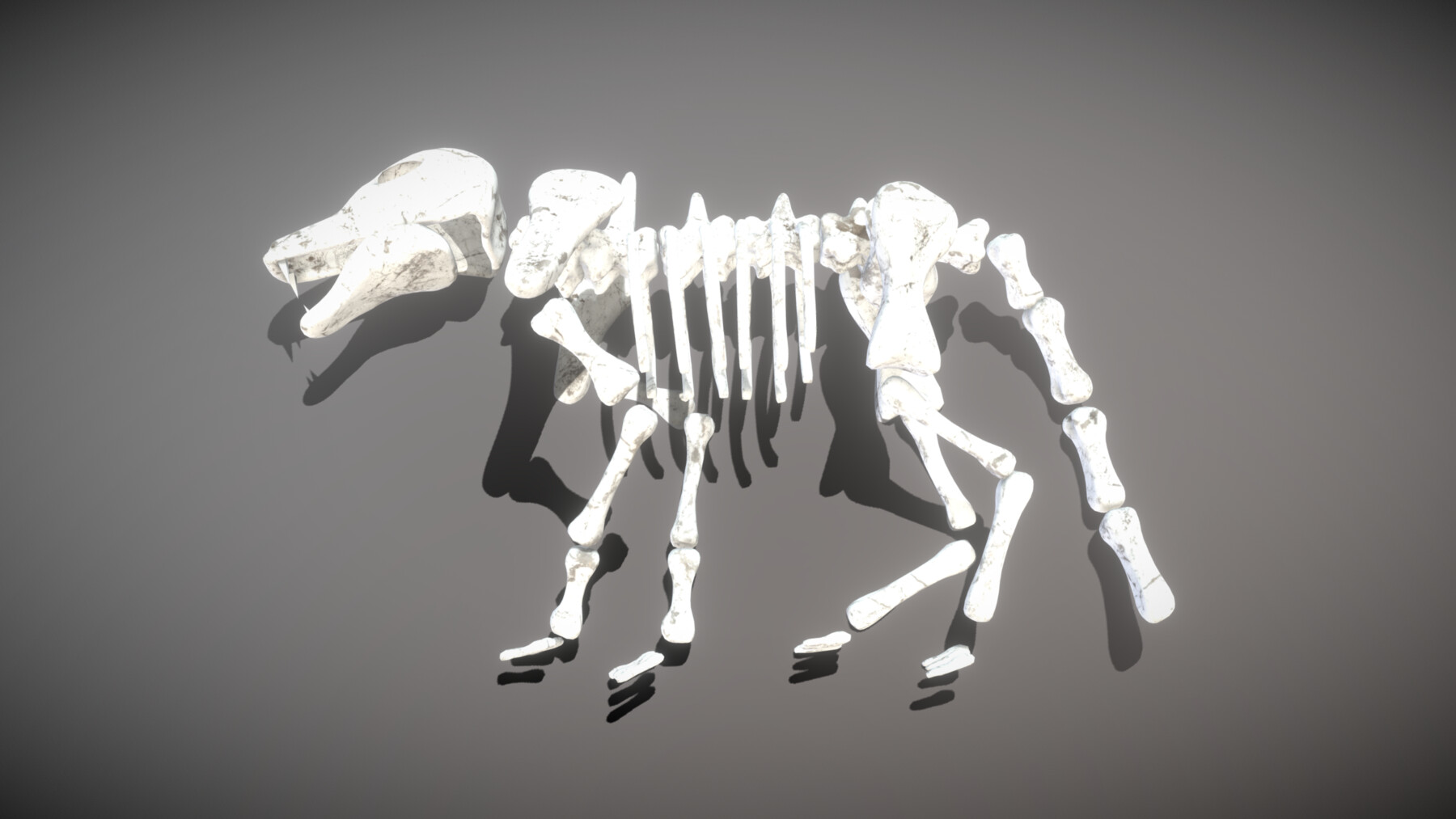 ArtStation - Wolf Skeleton | Game Assets