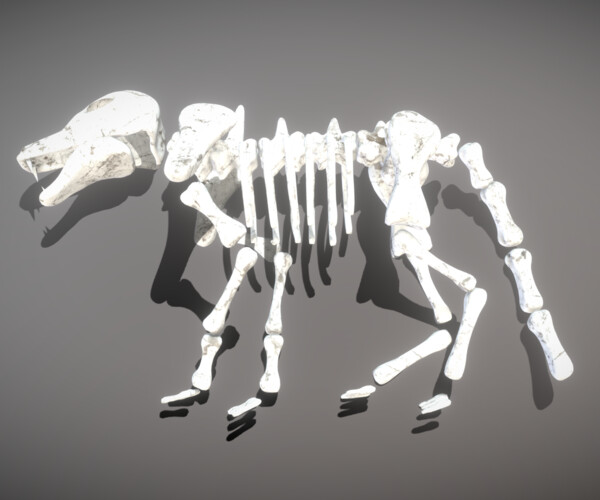 ArtStation - Wolf Skeleton | Game Assets