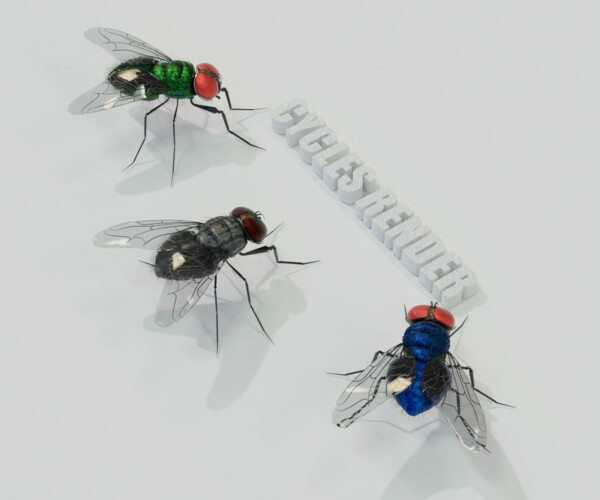 ArtStation - Flies for blender! | Resources