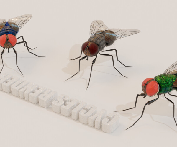 ArtStation - Flies for blender! | Resources