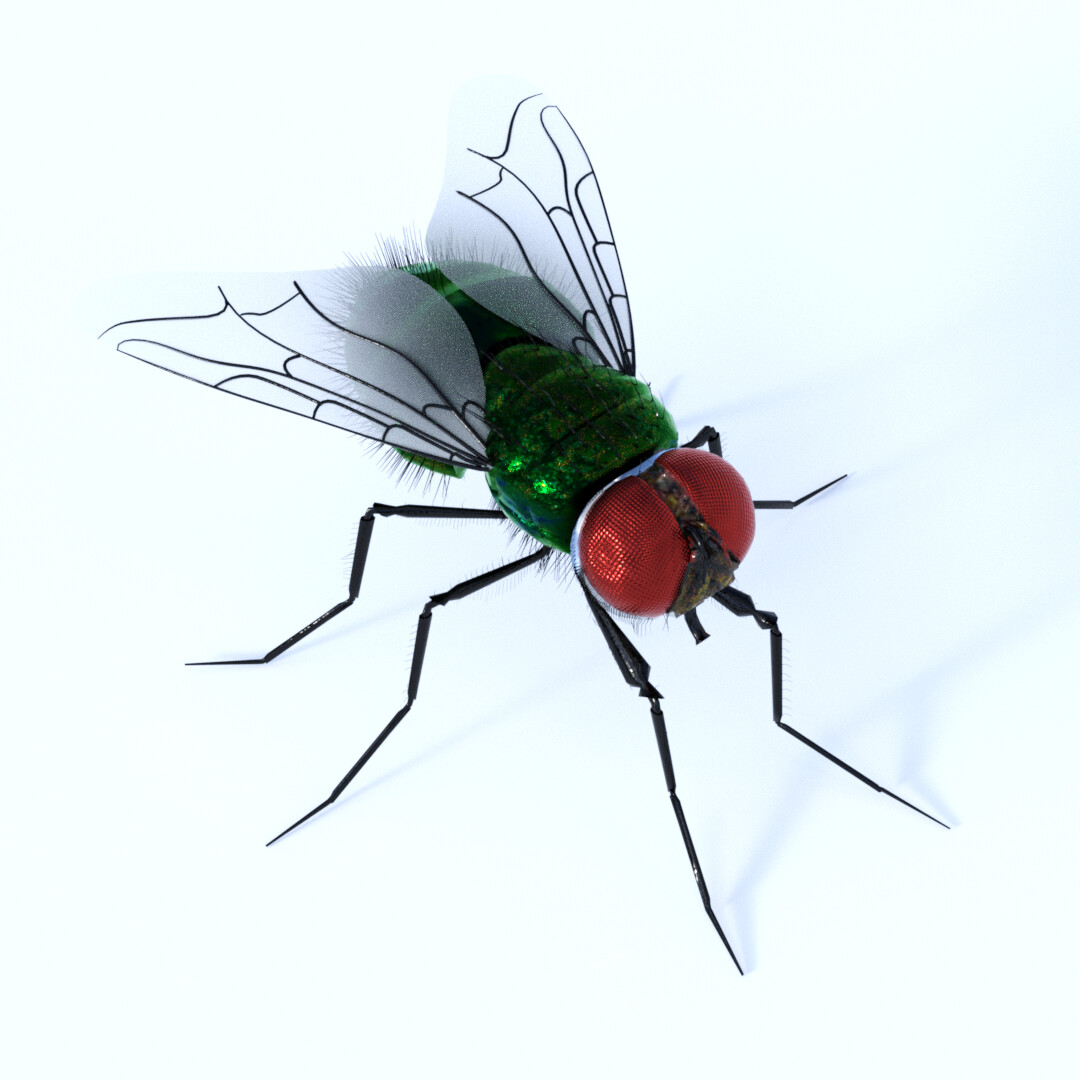 ArtStation - Flies for DazStudio | Resources