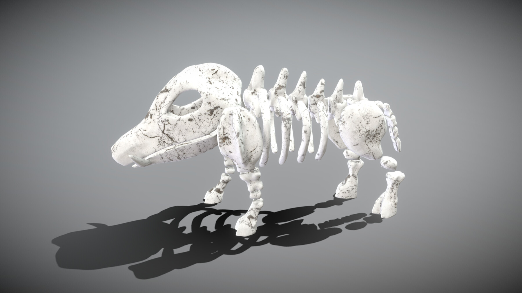 ArtStation - Boar Skeleton | Game Assets