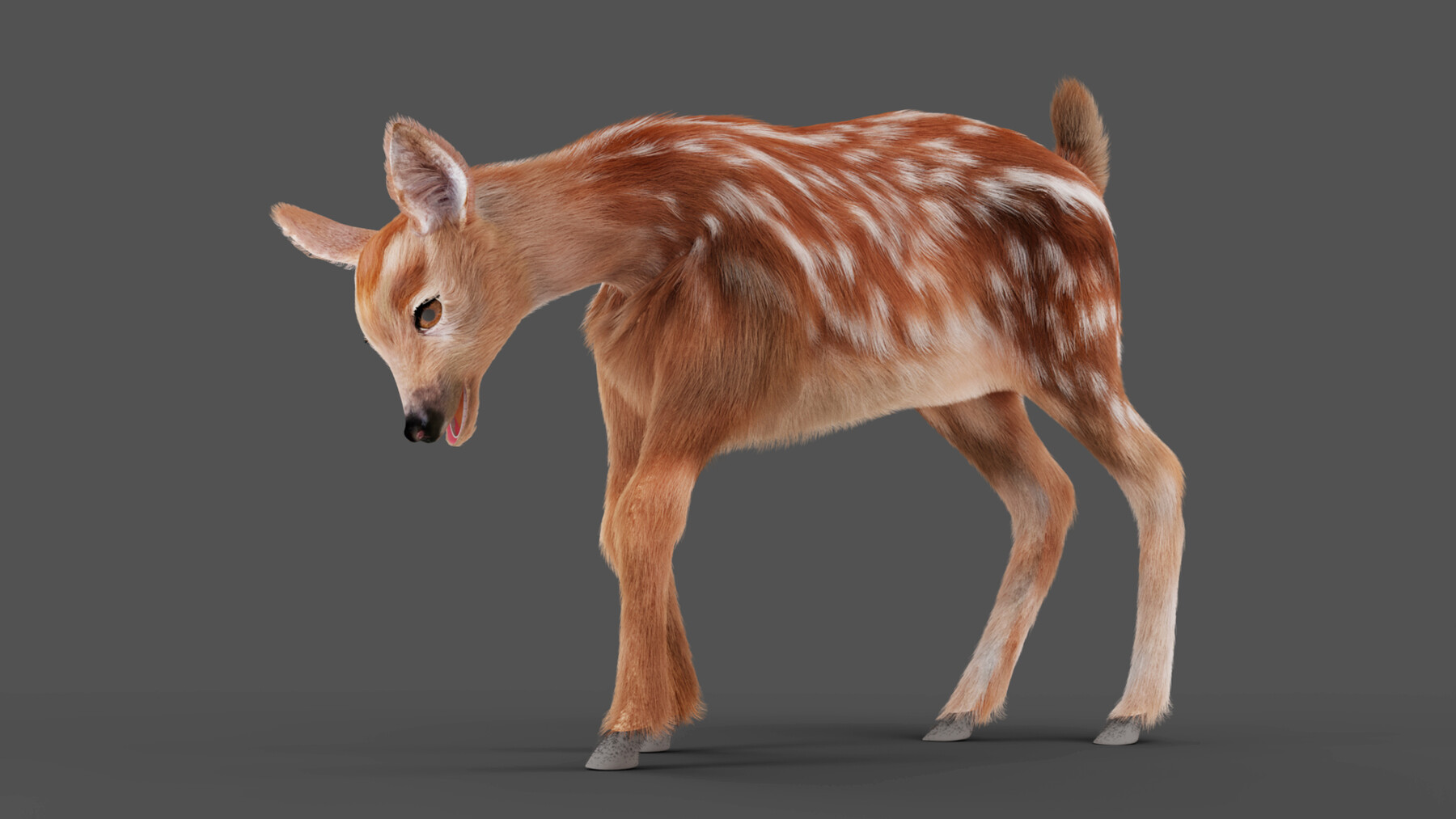ArtStation - Fur Fawn Deer Rigged and Animated Blender | Game Assets