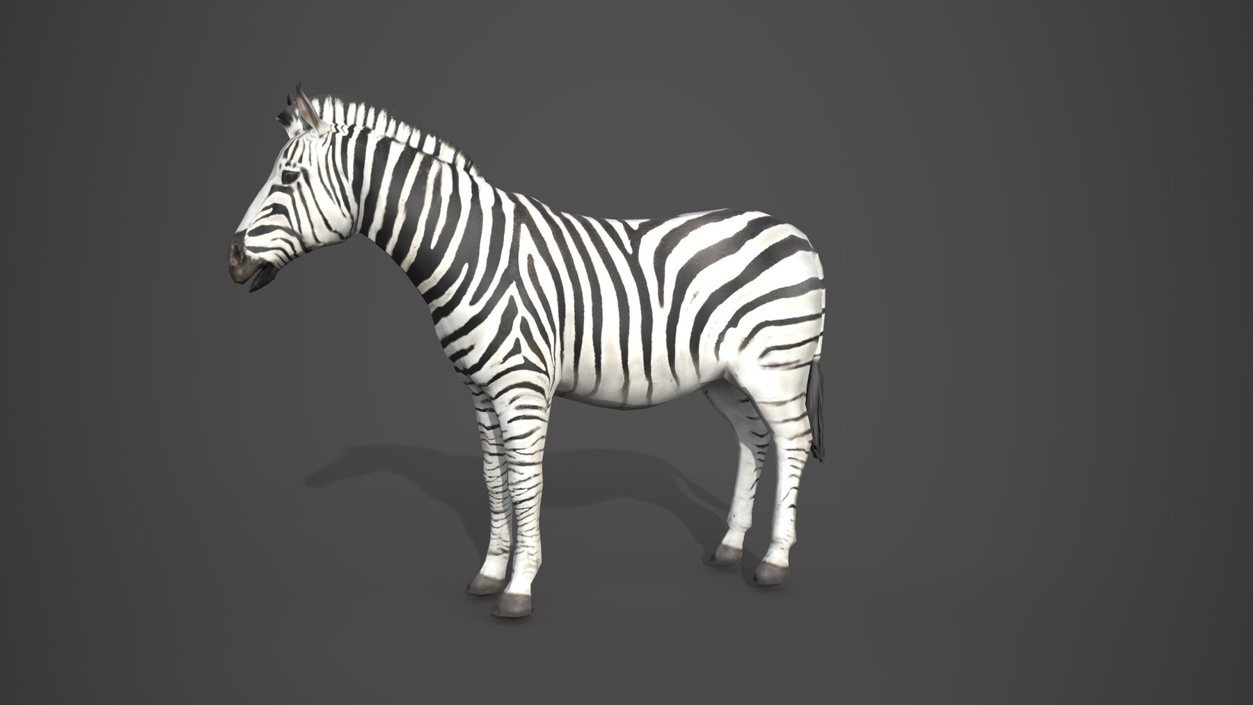 ArtStation - Animal Zebra | Game Assets