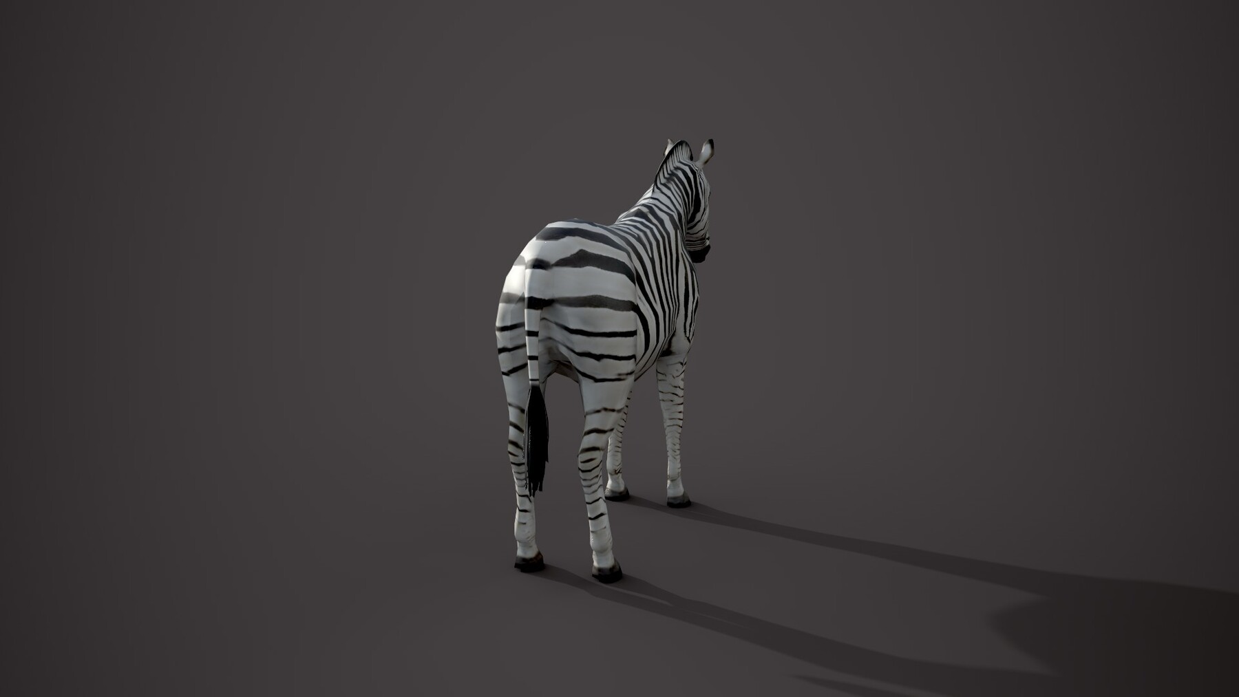 ArtStation - Animal Zebra | Game Assets