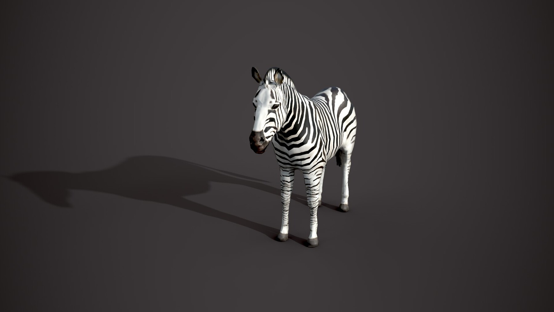 ArtStation - Animal Zebra | Game Assets