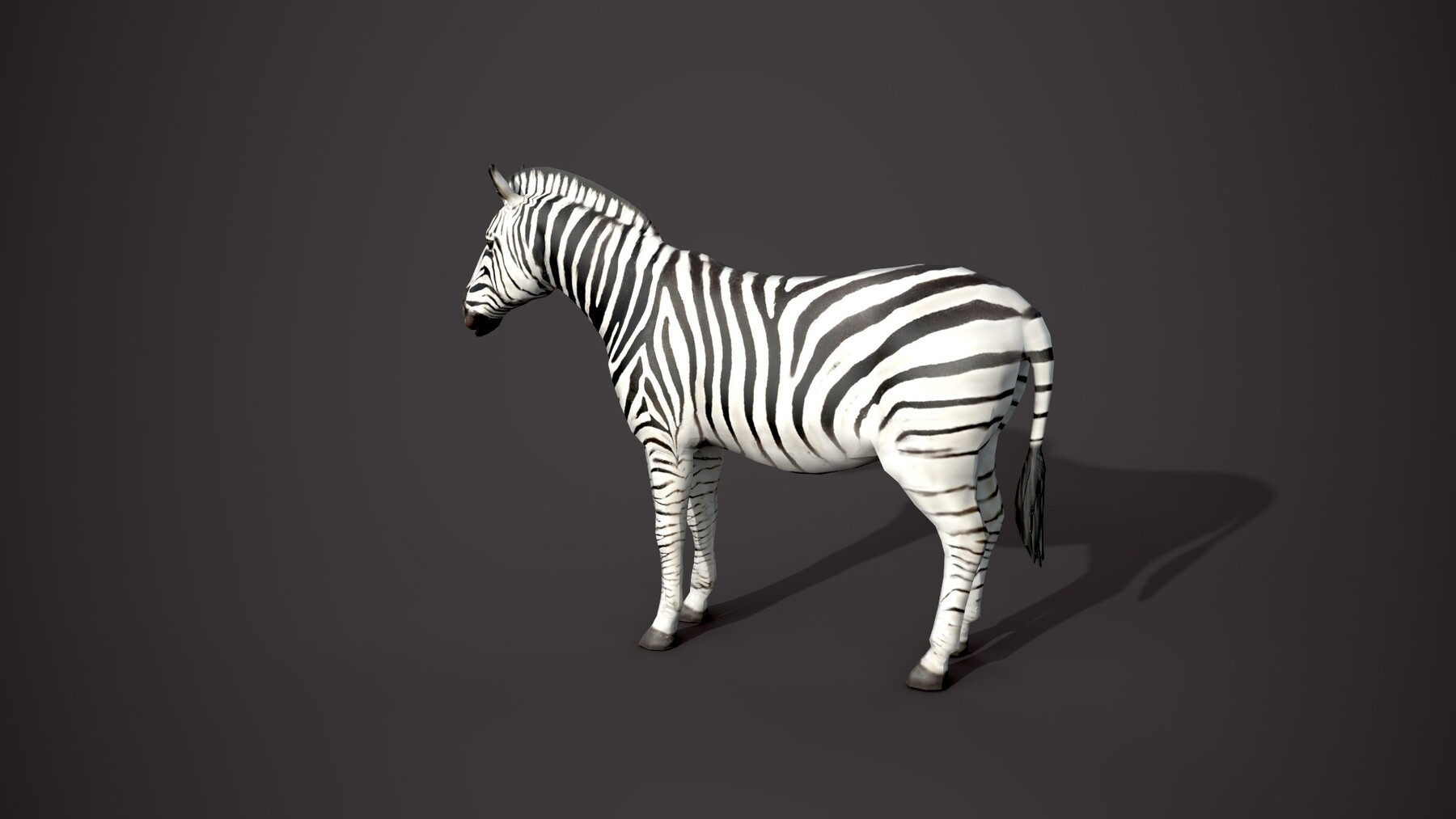 ArtStation - Animal Zebra | Game Assets