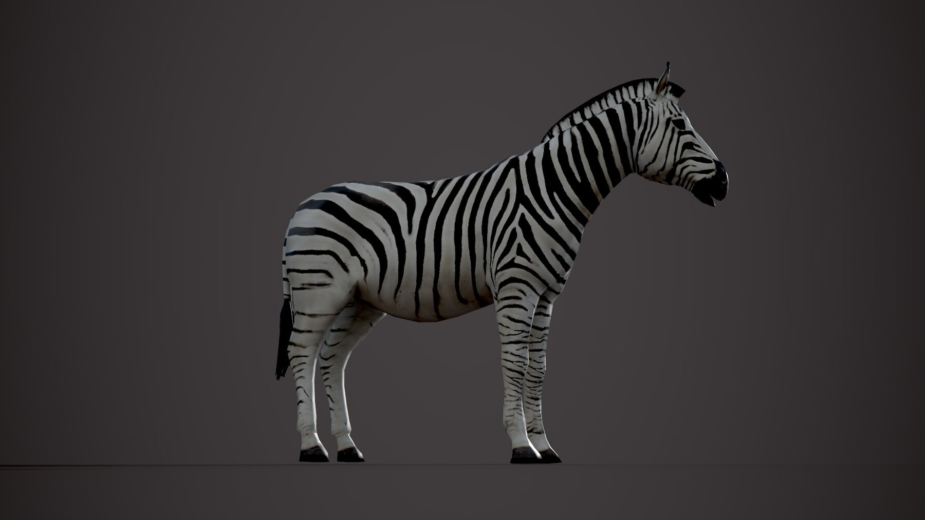 ArtStation - Animal Zebra | Game Assets