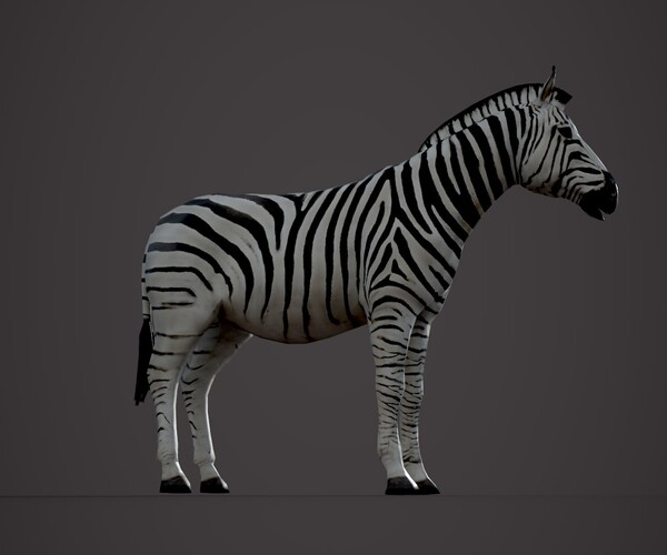 ArtStation - Animal Zebra | Game Assets