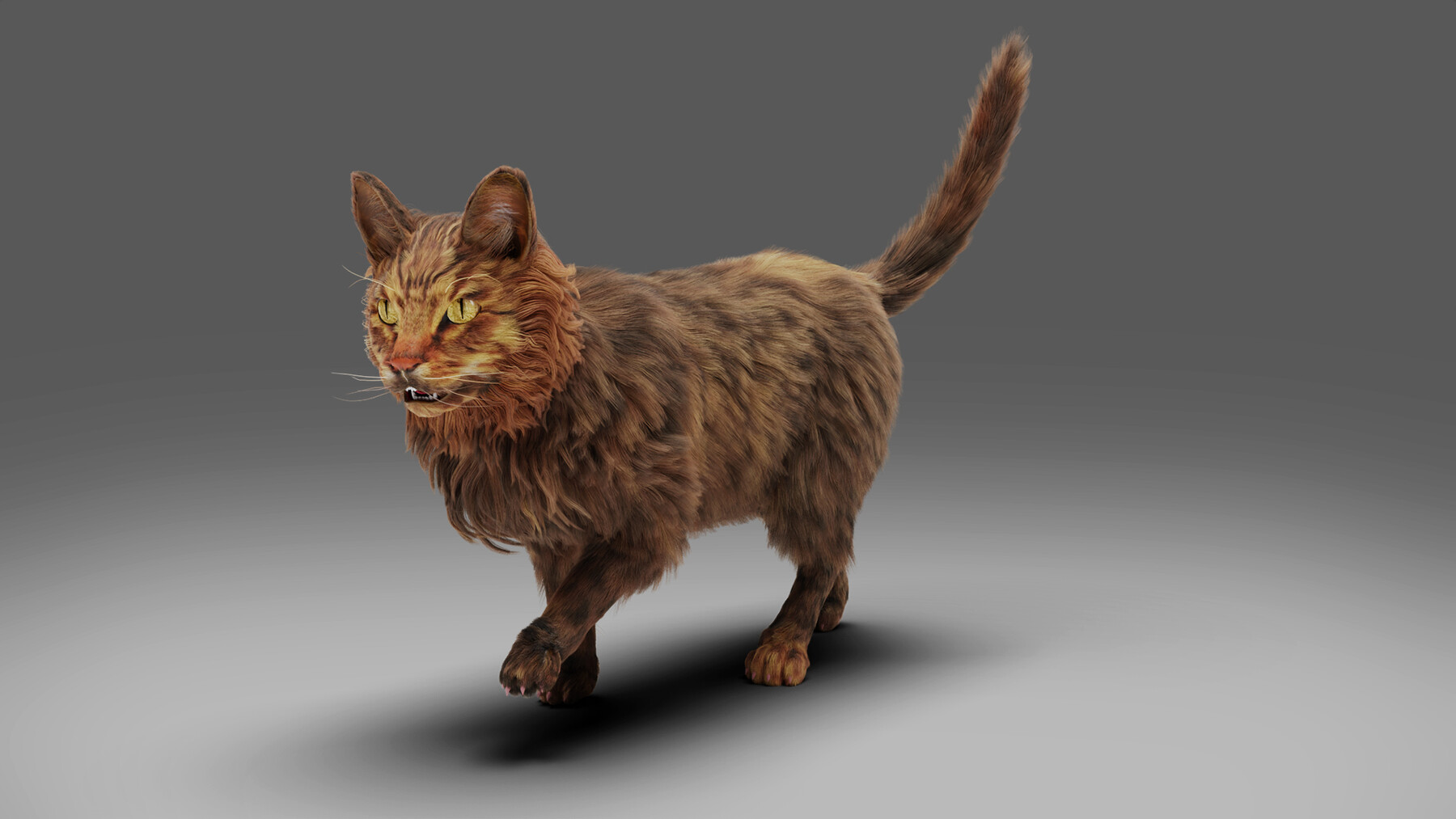 ArtStation - Fur Cat Grey Rigged and Animated | Game Assets