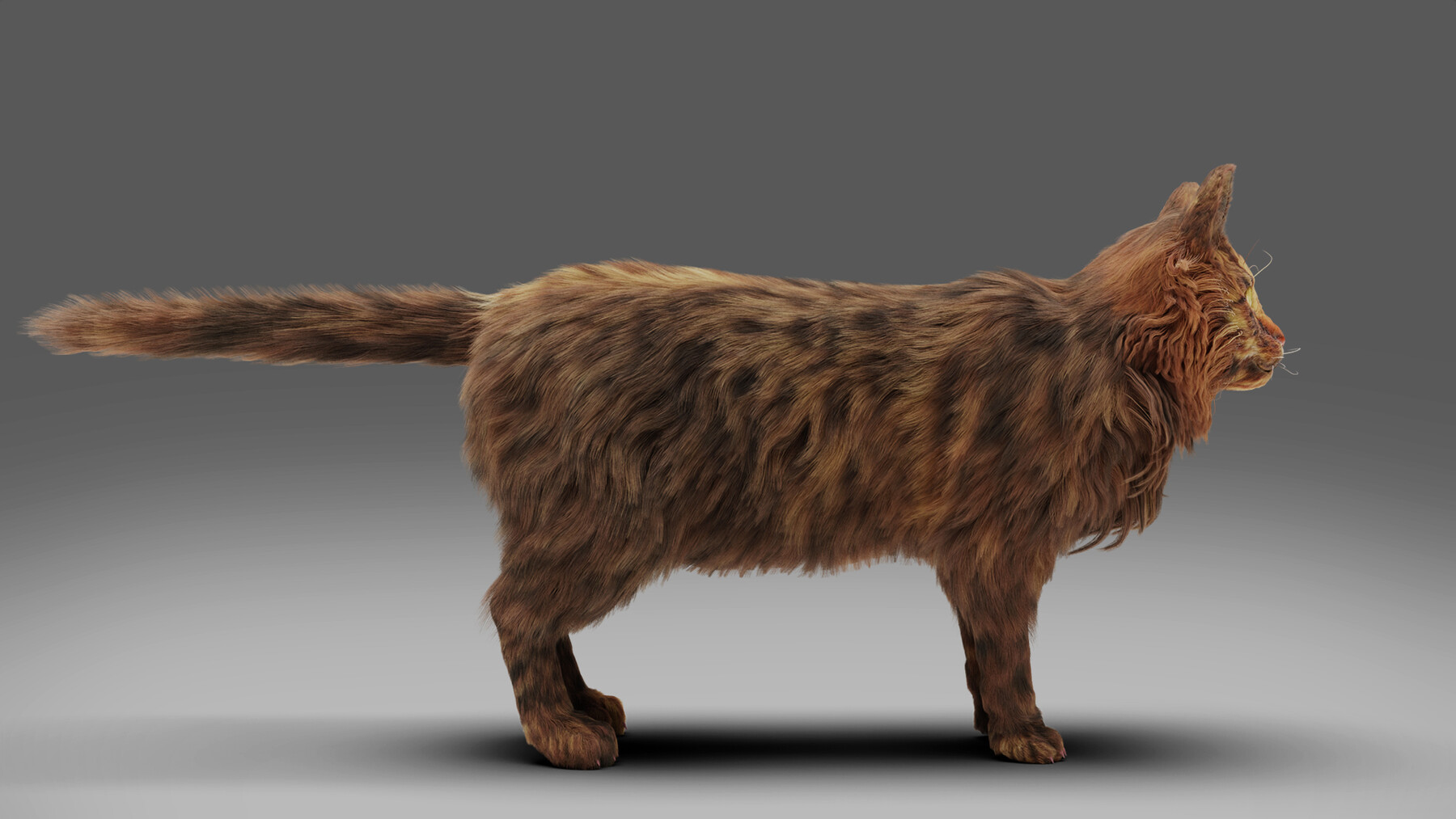 ArtStation - Fur Cat Grey Rigged and Animated | Game Assets