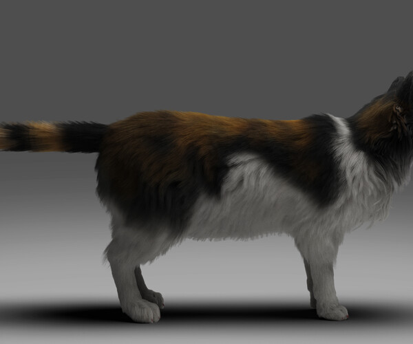 Artstation Fur Calico Cat Rigged And Animated Game Assets
