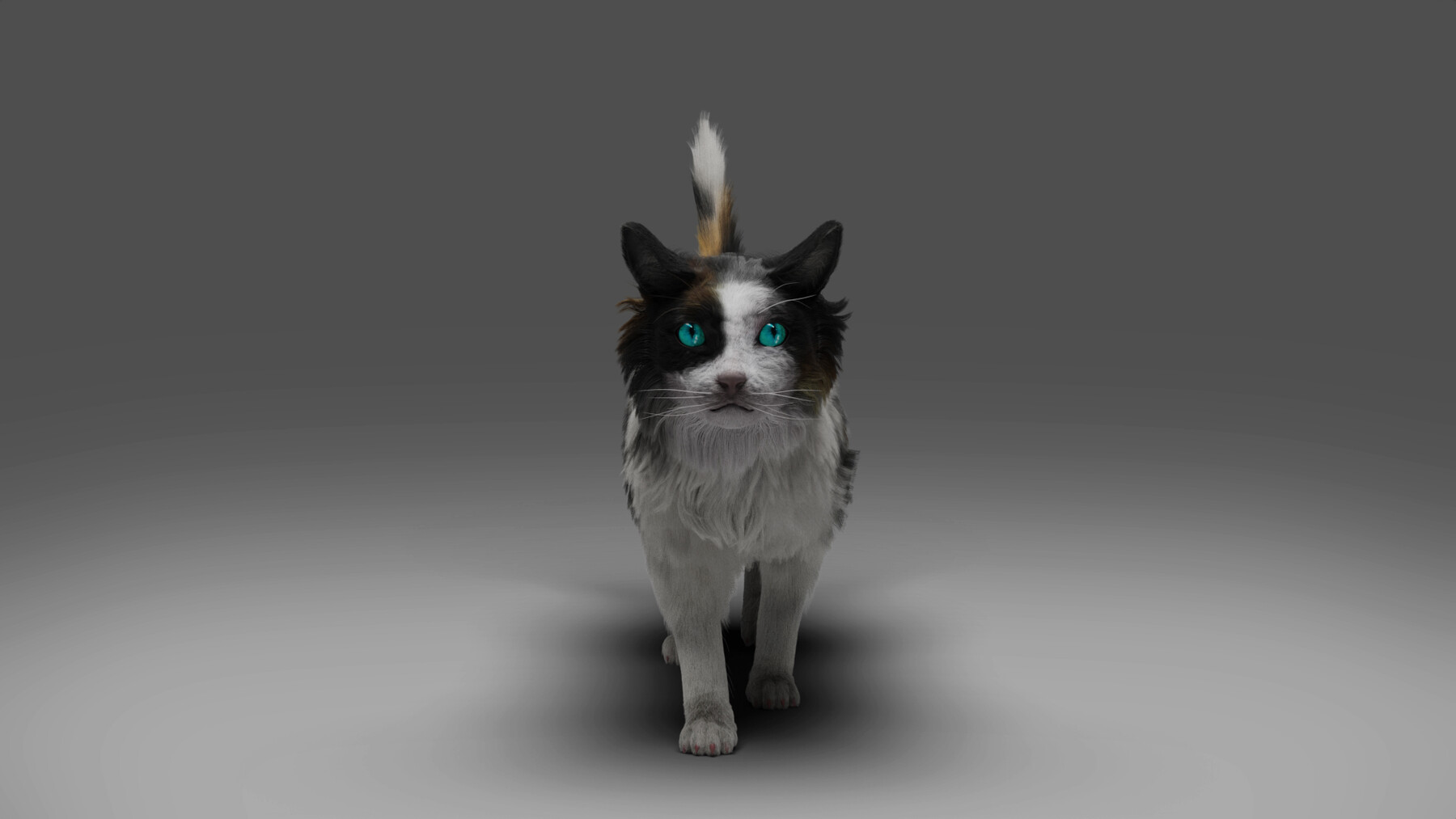 ArtStation - Fur Calico Cat Rigged and Animated | Game Assets