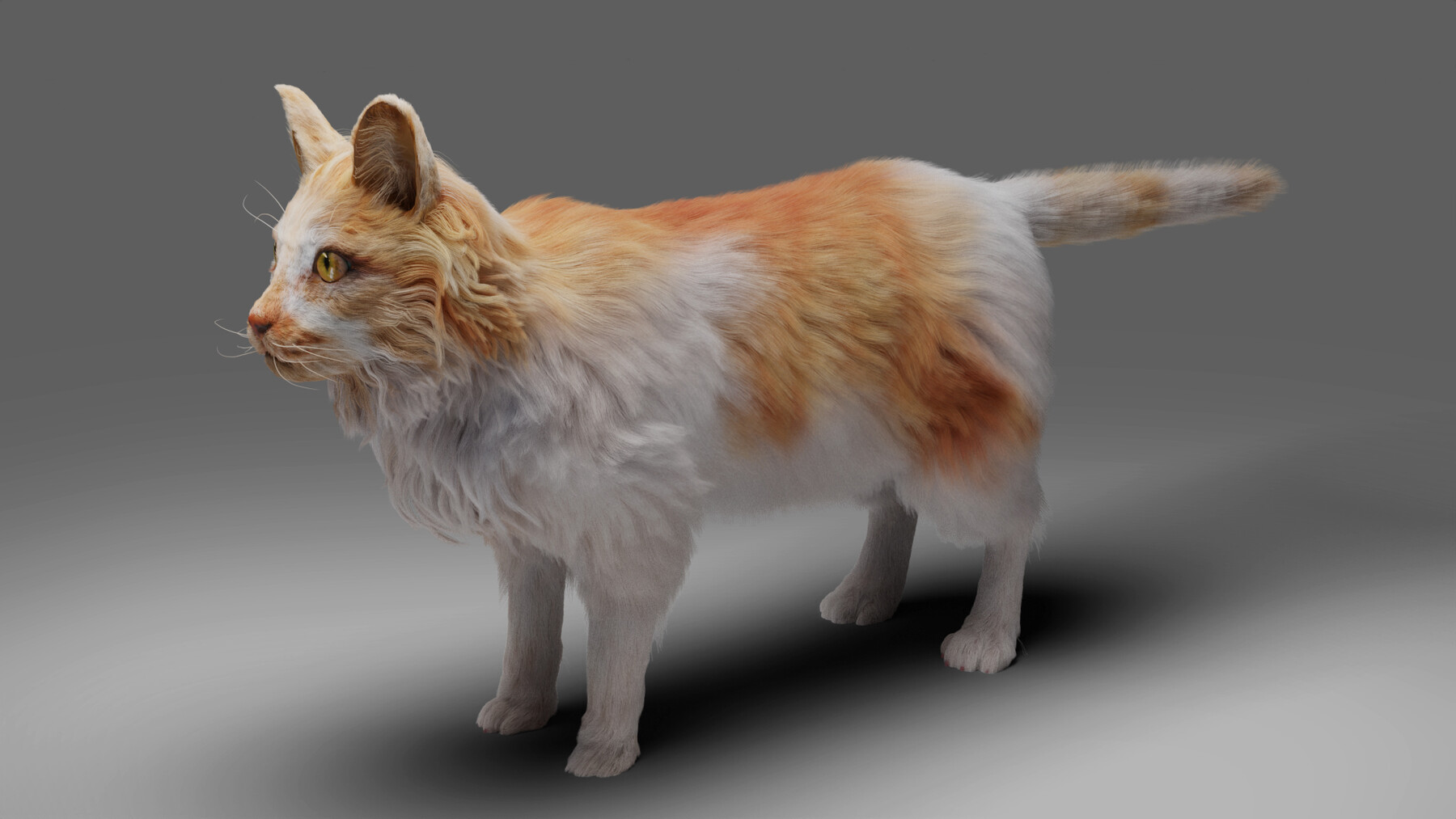 ArtStation - Fur Cat Calico V02 Rigged and Animated | Game Assets