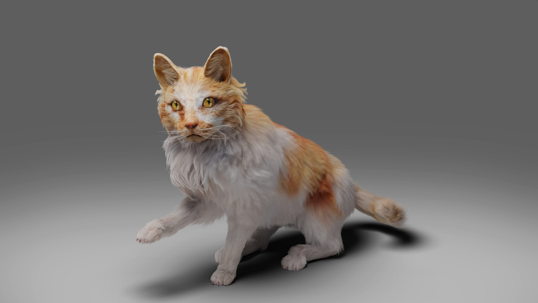 ArtStation - Fur Cat Calico V02 Rigged and Animated | Game Assets