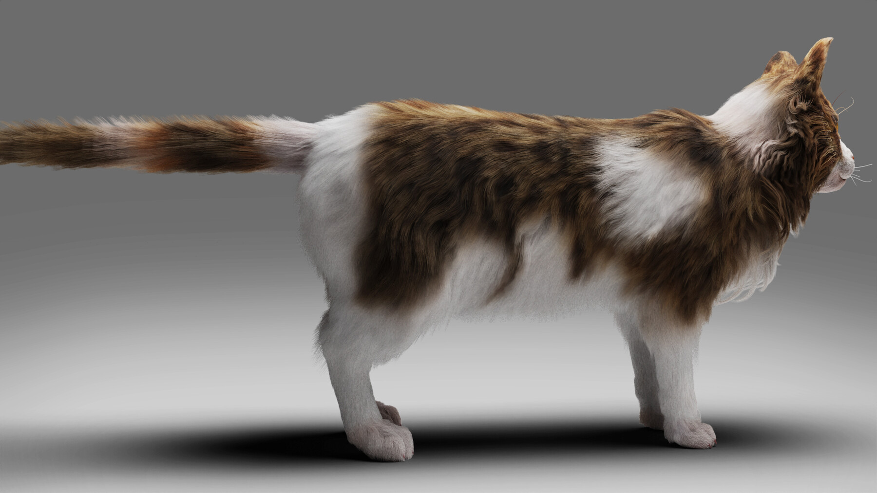 ArtStation - Fur Cat Calico V03 Rigged and Animated | Game Assets