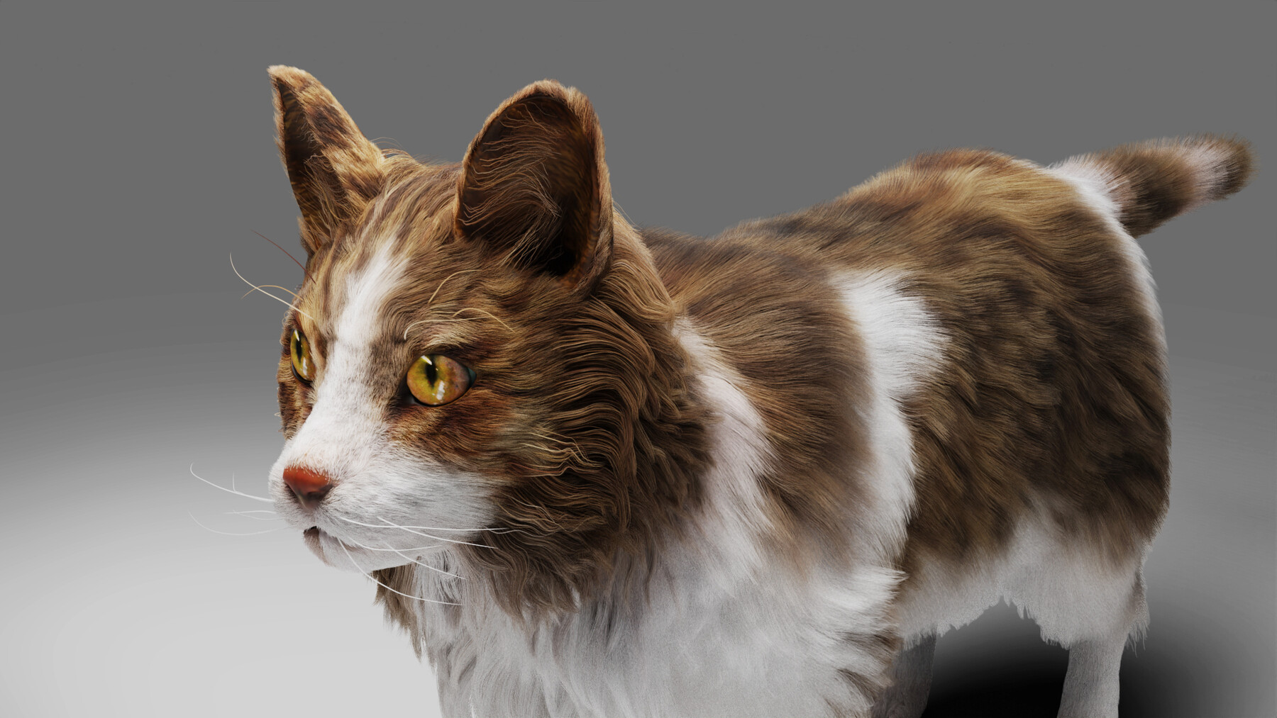ArtStation - Fur Cat Calico V03 Rigged and Animated | Game Assets