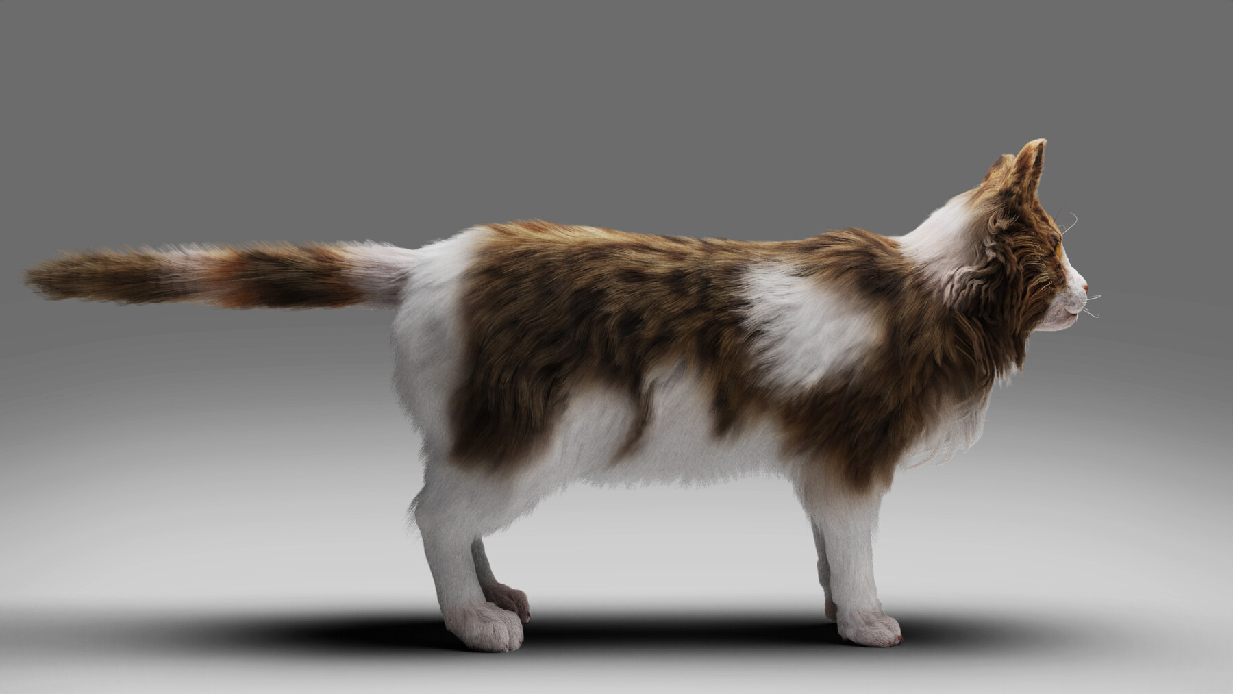 ArtStation - Fur Cat Calico V03 Rigged and Animated | Game Assets