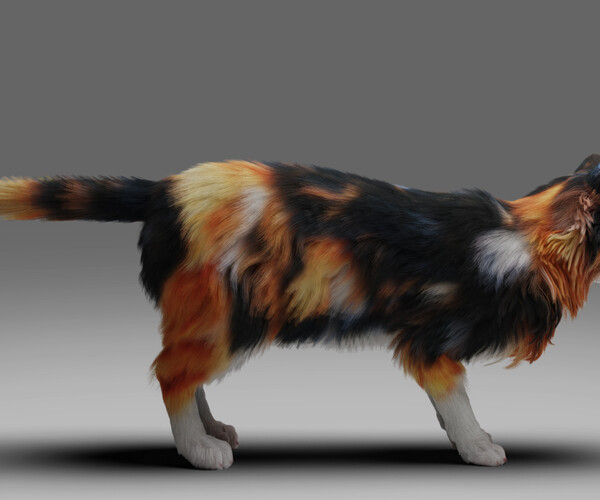 ArtStation - Fur Calico Cat V04 Rigged and Animated | Game Assets
