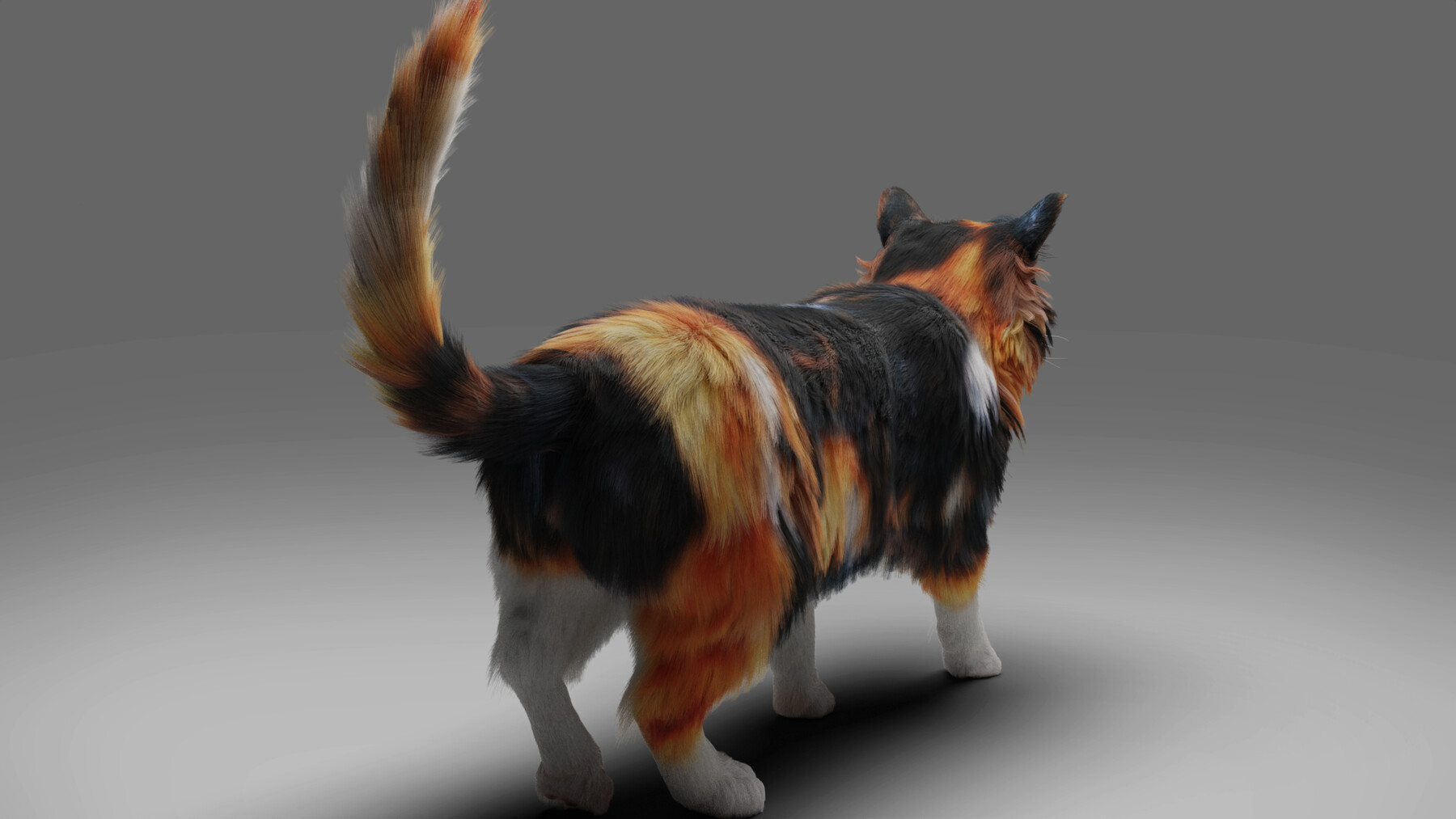 ArtStation - Fur Calico Cat V04 Rigged and Animated | Game Assets