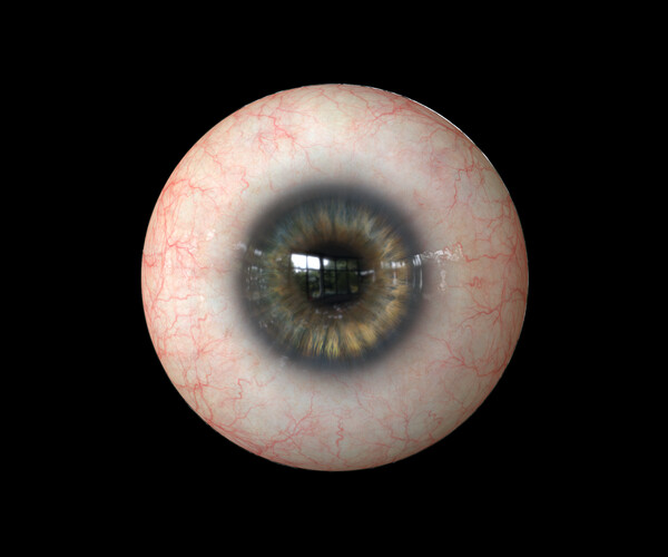 ArtStation - Eye Gray 1 Real-time 3D model 4k texture Marmoset Toolbag3 ...