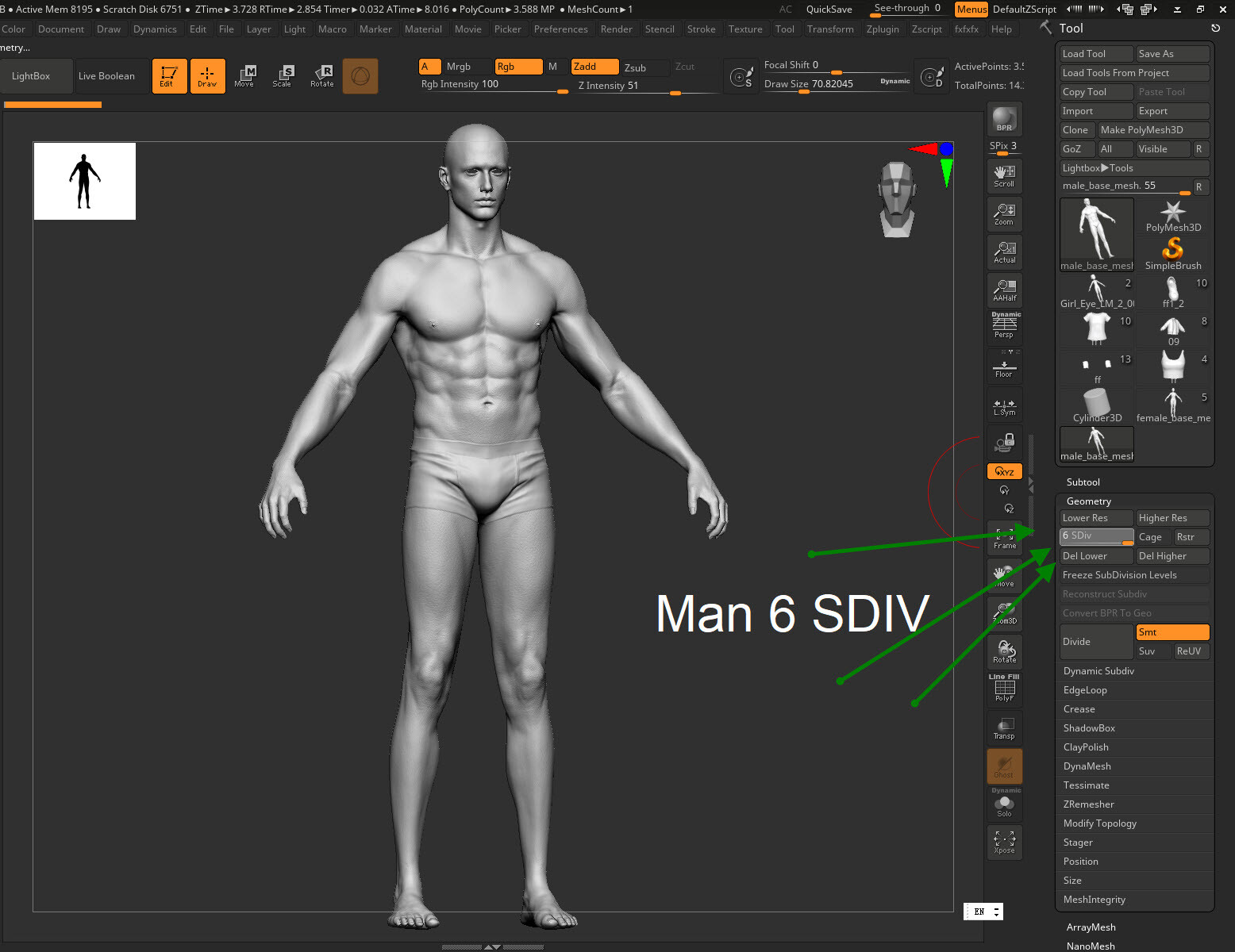 ArtStation - Rigged Caucasian average Realistic character man woman zbrush male female torso ...