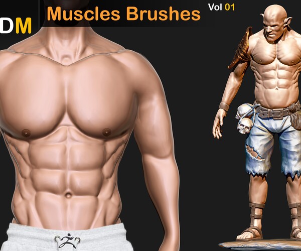 ArtStation - 122 VDM Muscles Bundle ( 20% OFF ) | Brushes
