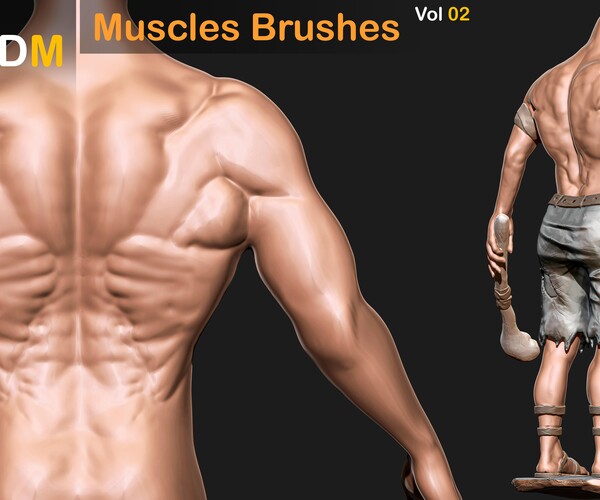 ArtStation - 122 VDM Muscles Bundle ( 20% OFF ) | Brushes