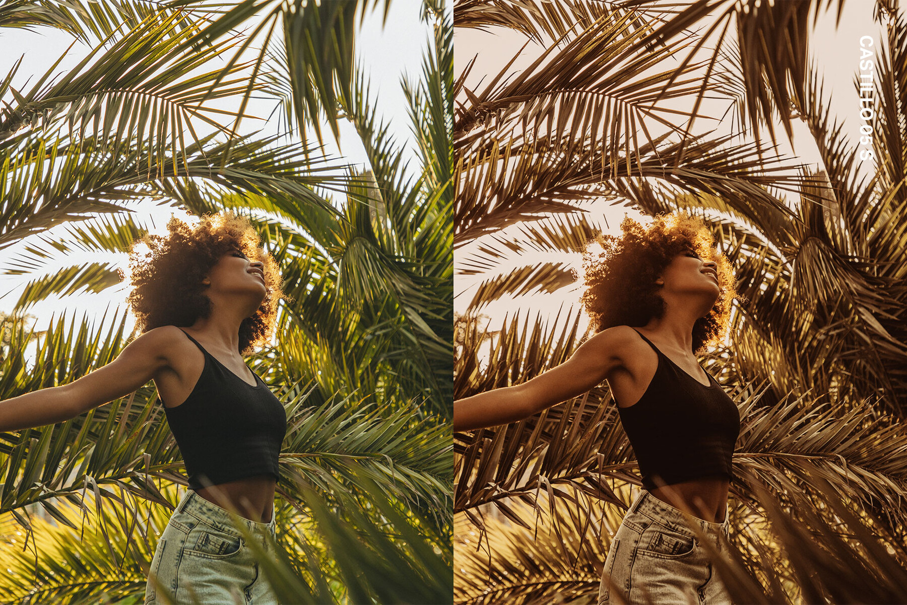 ArtStation - 25 Golden Warmth Lightroom Presets and LUTs | Resources