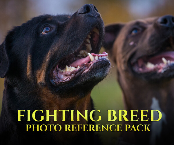 ArtStation - Fighting Breed - Reference Photo Pack For Artists 296 ...